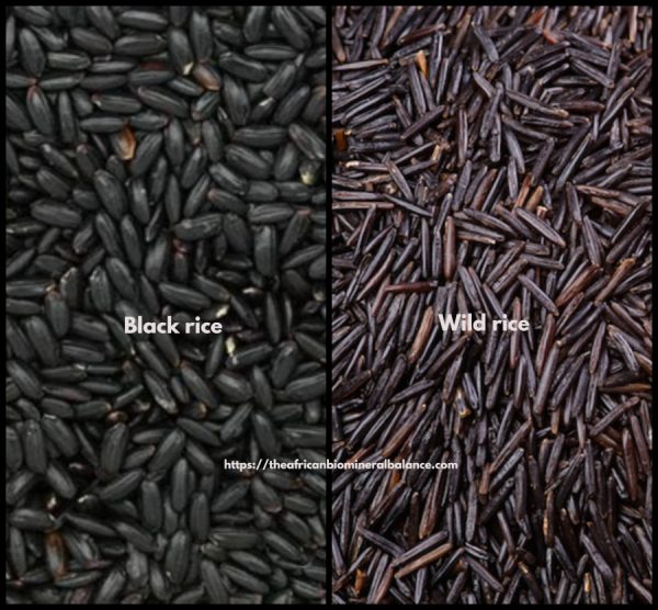 Black Rice vs Wild Rice » The African Bio-Mineral Balance