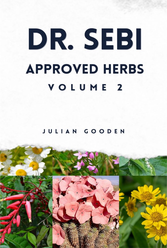 Dr Sebi breakfast ideas Archives » The African Bio-Mineral Balance