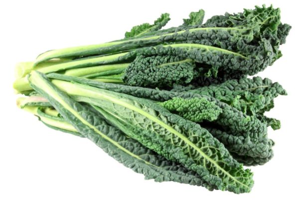 Kale is a Hybrid Leafy Green » The African Bio-Mineral Balance