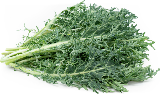 Kale is a Hybrid Leafy Green » The African Bio-Mineral Balance