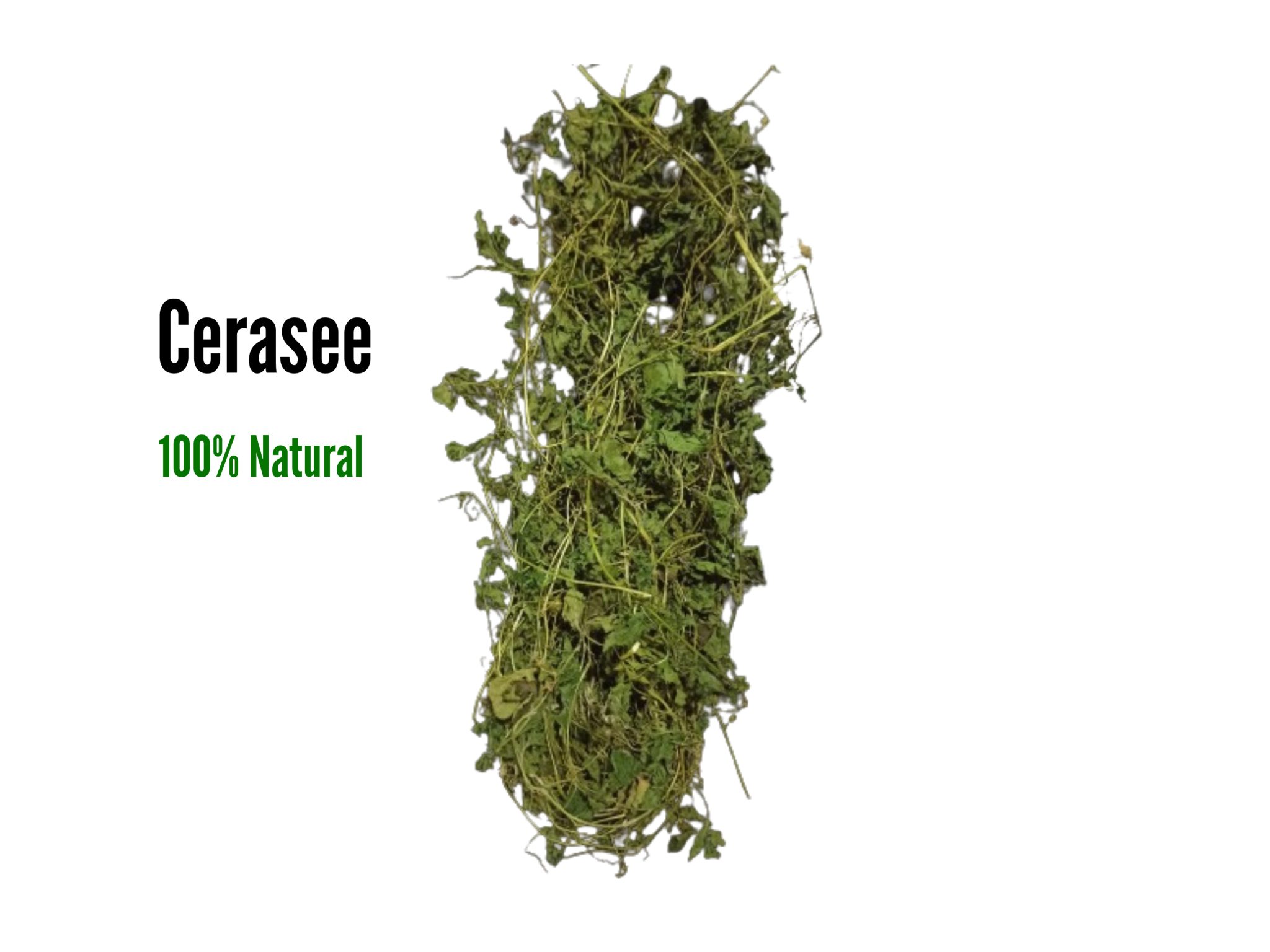 Cerasee (Momordica charantia) - LIVER Tonic » The African Bio-Mineral ...