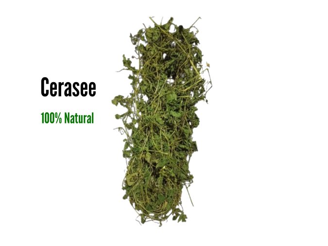Cerasee (Momordica charantia) - LIVER Tonic » The African Bio-Mineral ...
