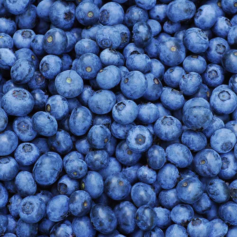 6 Powerful Benefits of Blueberries » The African Bio-Mineral Balance
