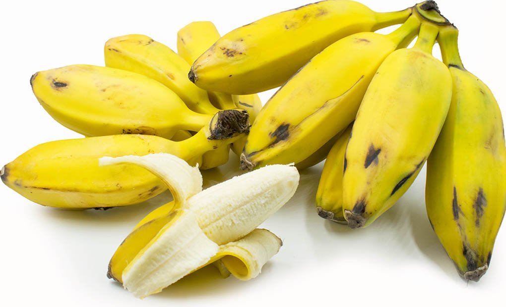 Why Dr. Sebi Didn’t Recommend the Popular Banana Species — And the ...