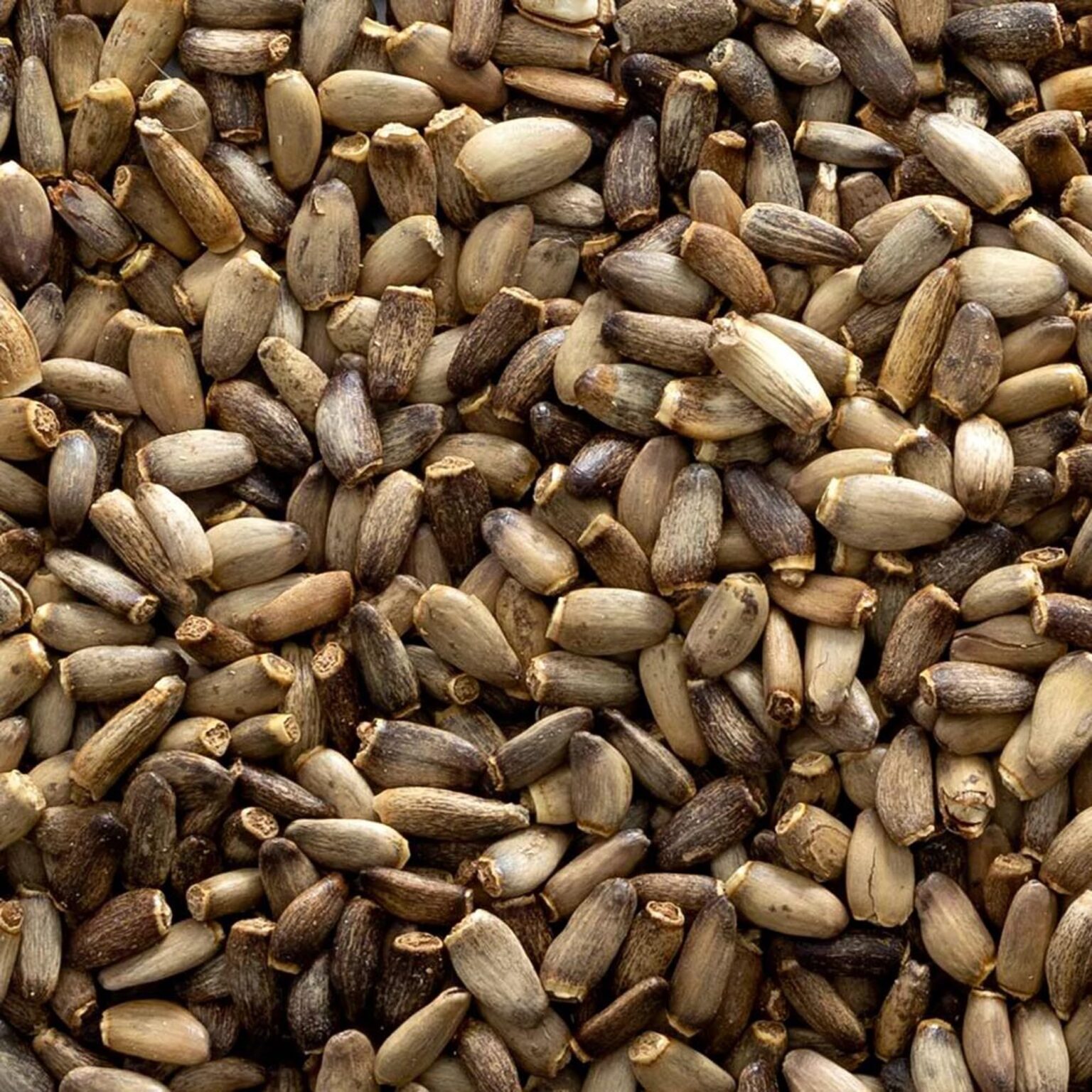 14 Health Benefits of Red Clover » The African Bio-Mineral Balance